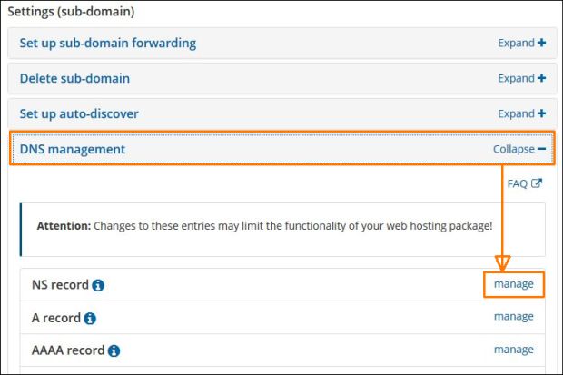 What settings can I make in the NS Record configuration dialog?